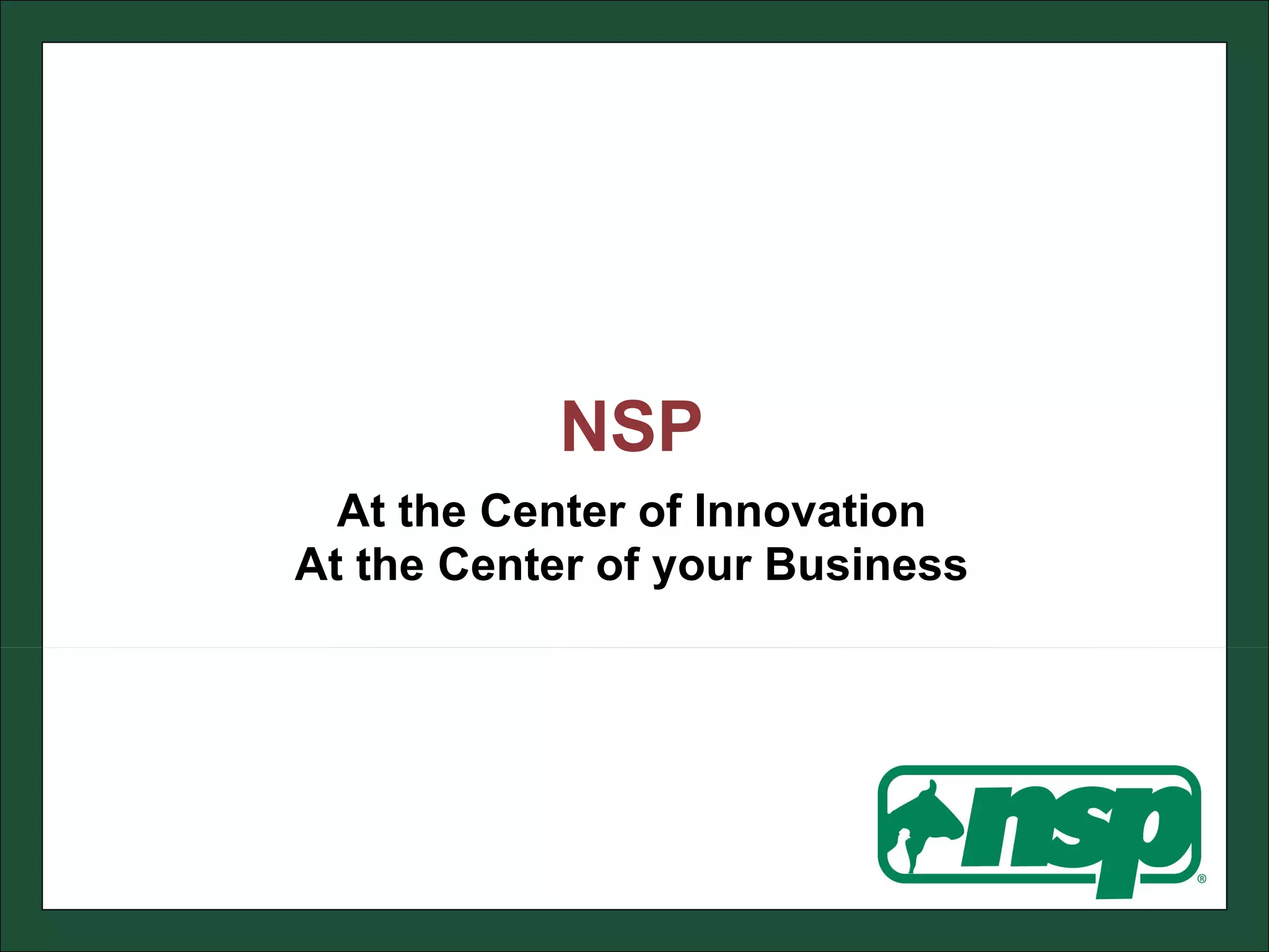 Nsp Company Profile And Capbilities | PPT