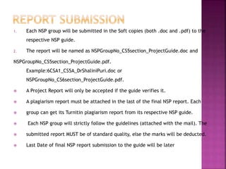 Project guidelines.pptx
