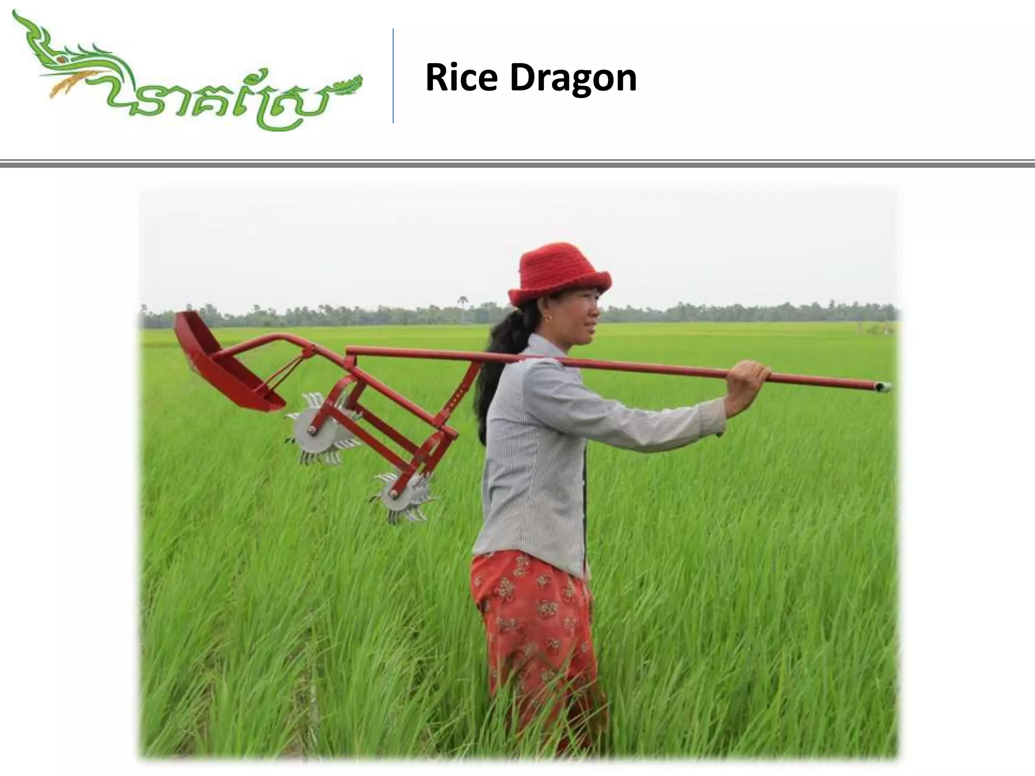1419 - Rice Dragon Weeder | PPTX | Agriculture | Industries