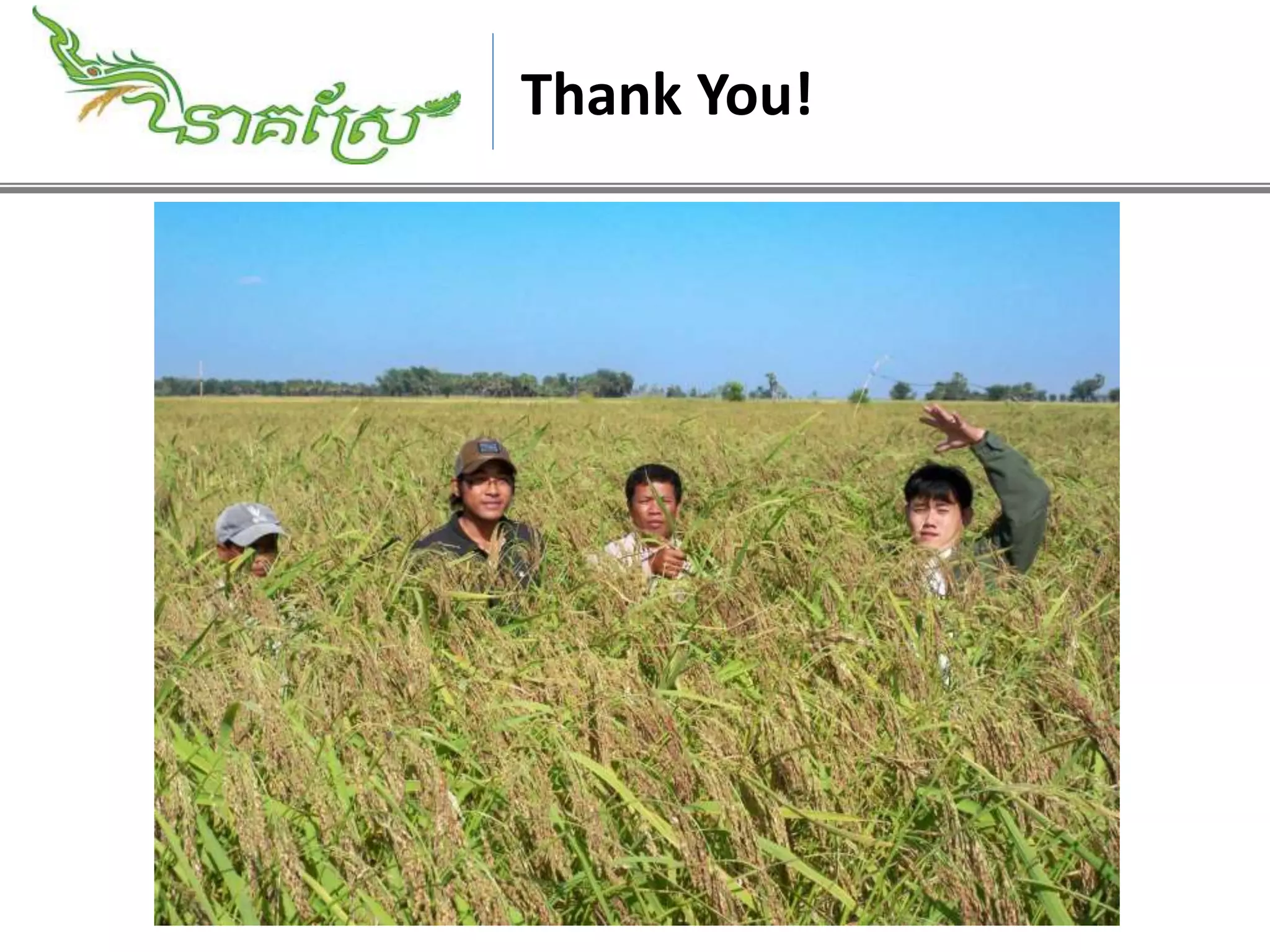 1419 - Rice Dragon Weeder | PPTX | Agriculture | Industries