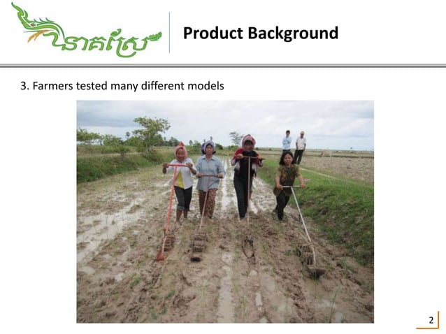 1419 - Rice Dragon Weeder | PPT