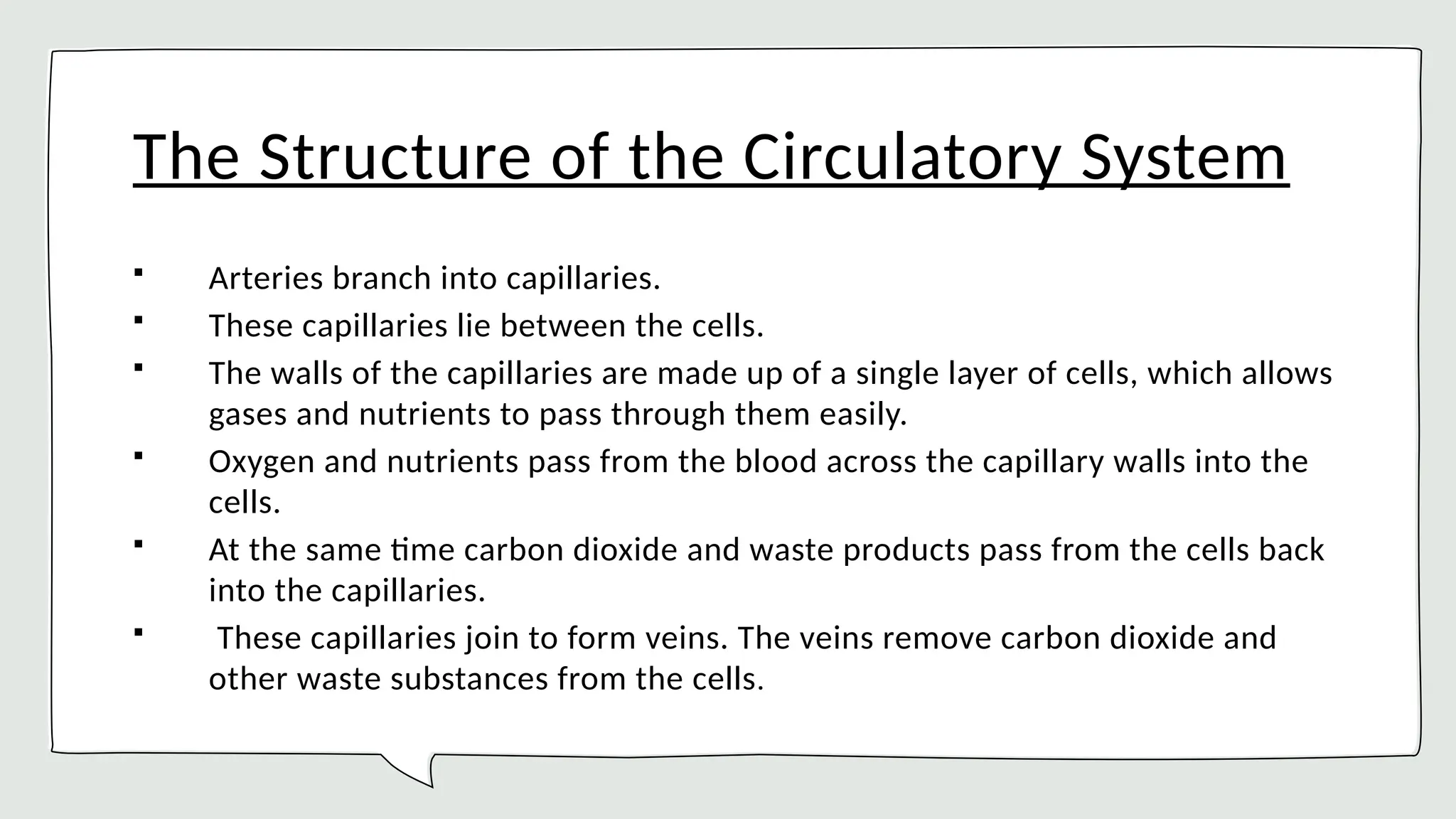 Natural Sciences CIRCULATORY SYSTEM Presentation.pptx