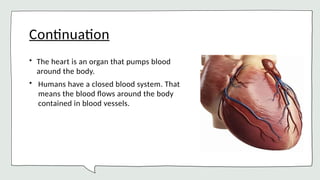 Natural Sciences CIRCULATORY SYSTEM Presentation.pptx