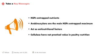 NSPs in Feed & Xylanase | PPTX