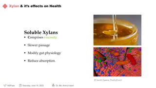 NSPs in Feed & Xylanase | PPTX