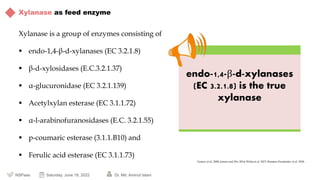 NSPs in Feed & Xylanase | PPTX
