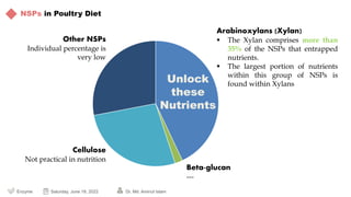 NSPs in Feed & Xylanase | PPTX