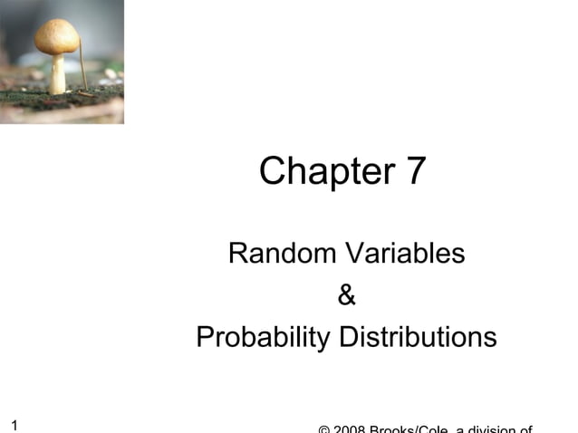 Chapter7 | PPT