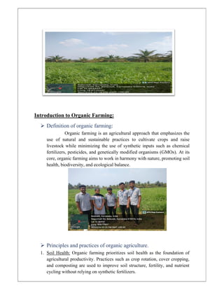 NSS__final_____________report based on agriculture | PDF