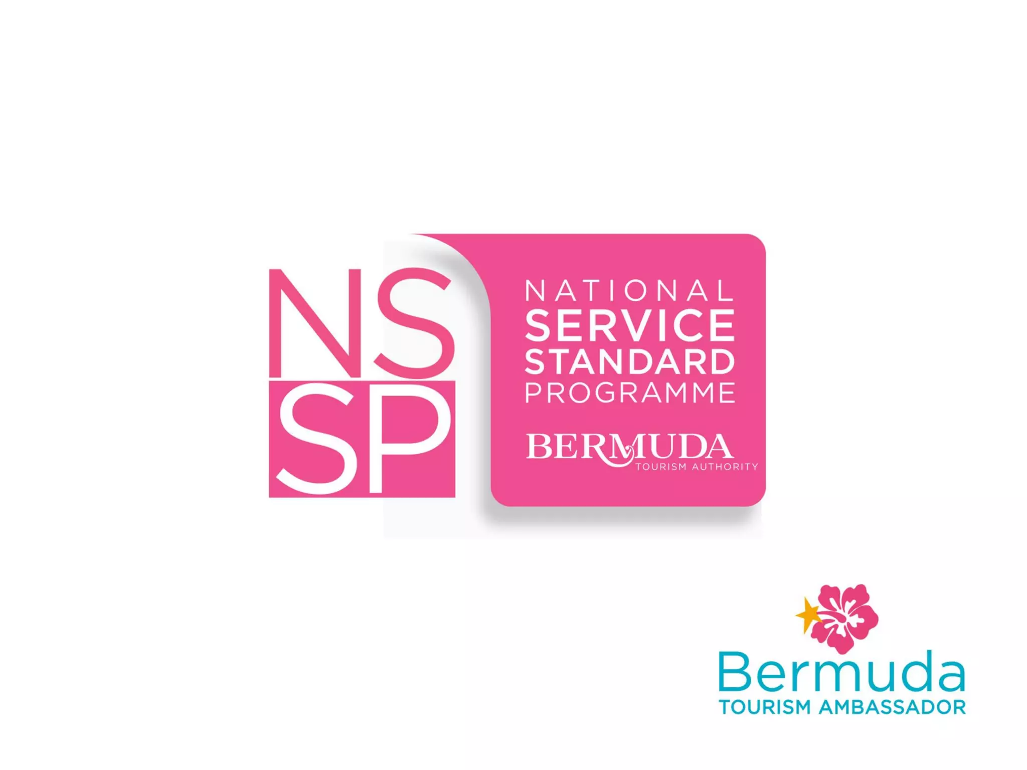 National Service Standards Programme | PDF