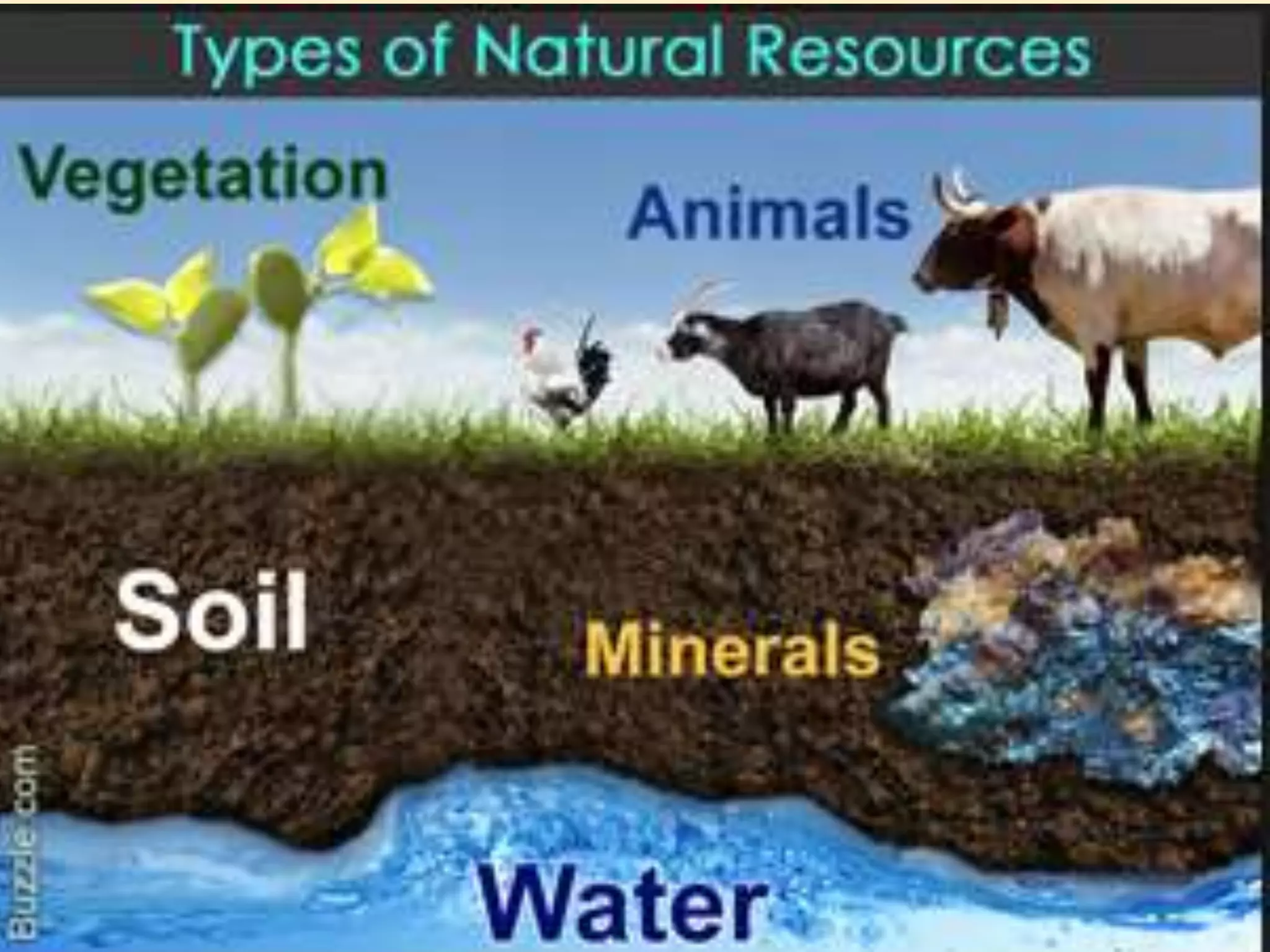 IMPACT OF HUMAN ACTIVITIES ON ENVIRONMENT | PPTX