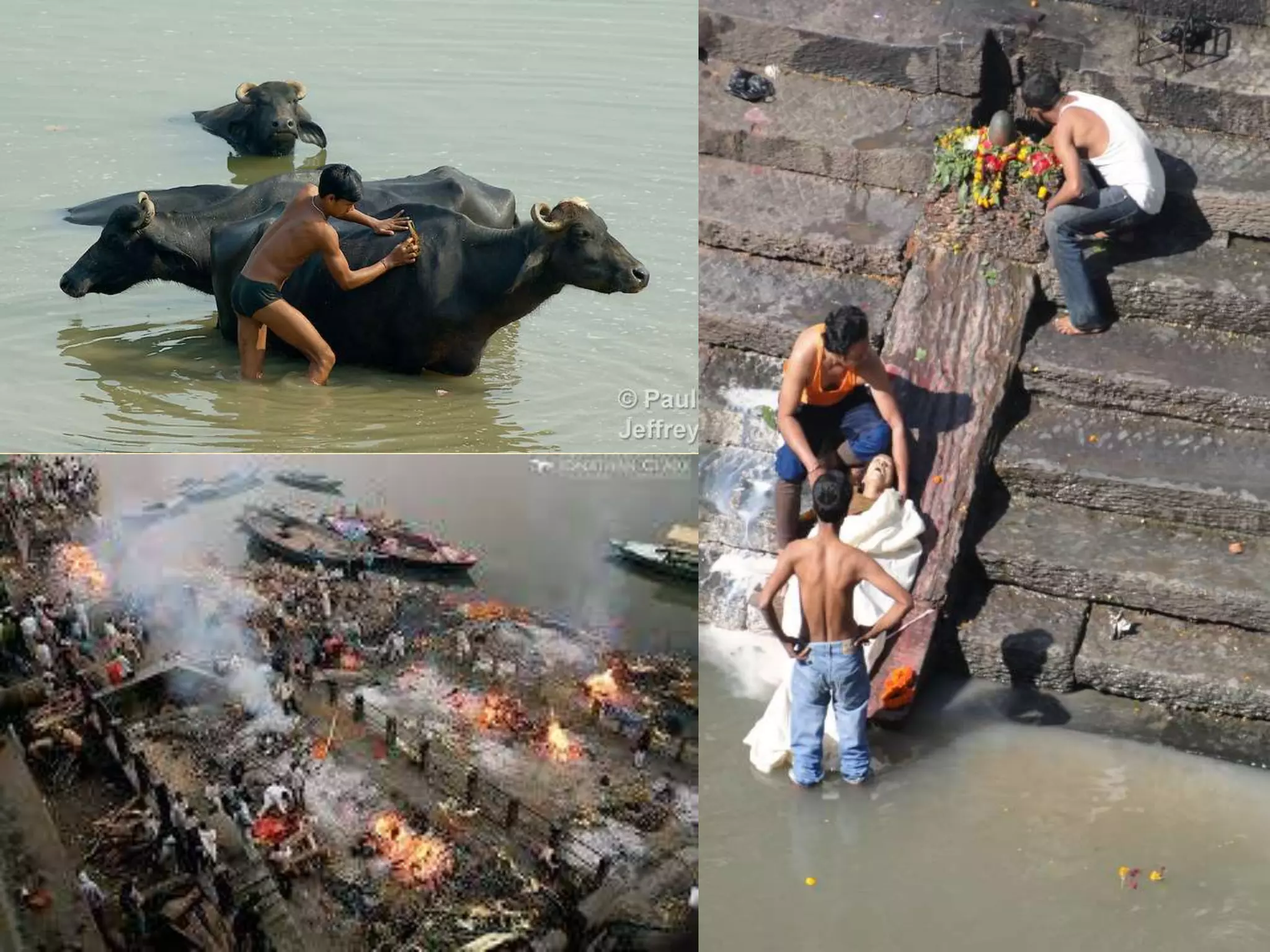 IMPACT OF HUMAN ACTIVITIES ON ENVIRONMENT | PPTX