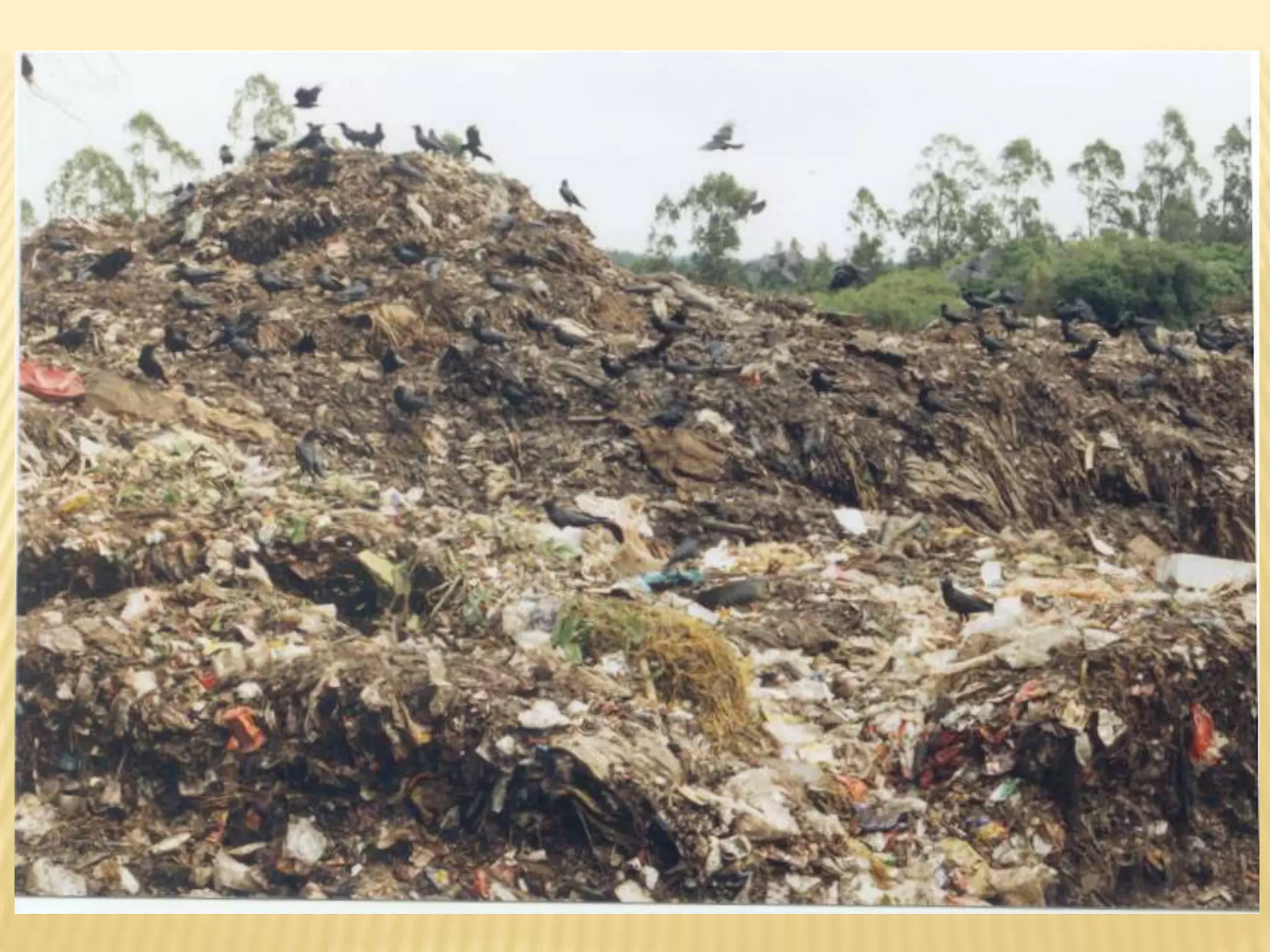 IMPACT OF HUMAN ACTIVITIES ON ENVIRONMENT | PPTX