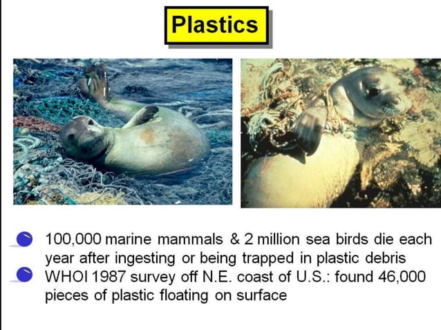 IMPACT OF HUMAN ACTIVITIES ON ENVIRONMENT | PPTX | Science