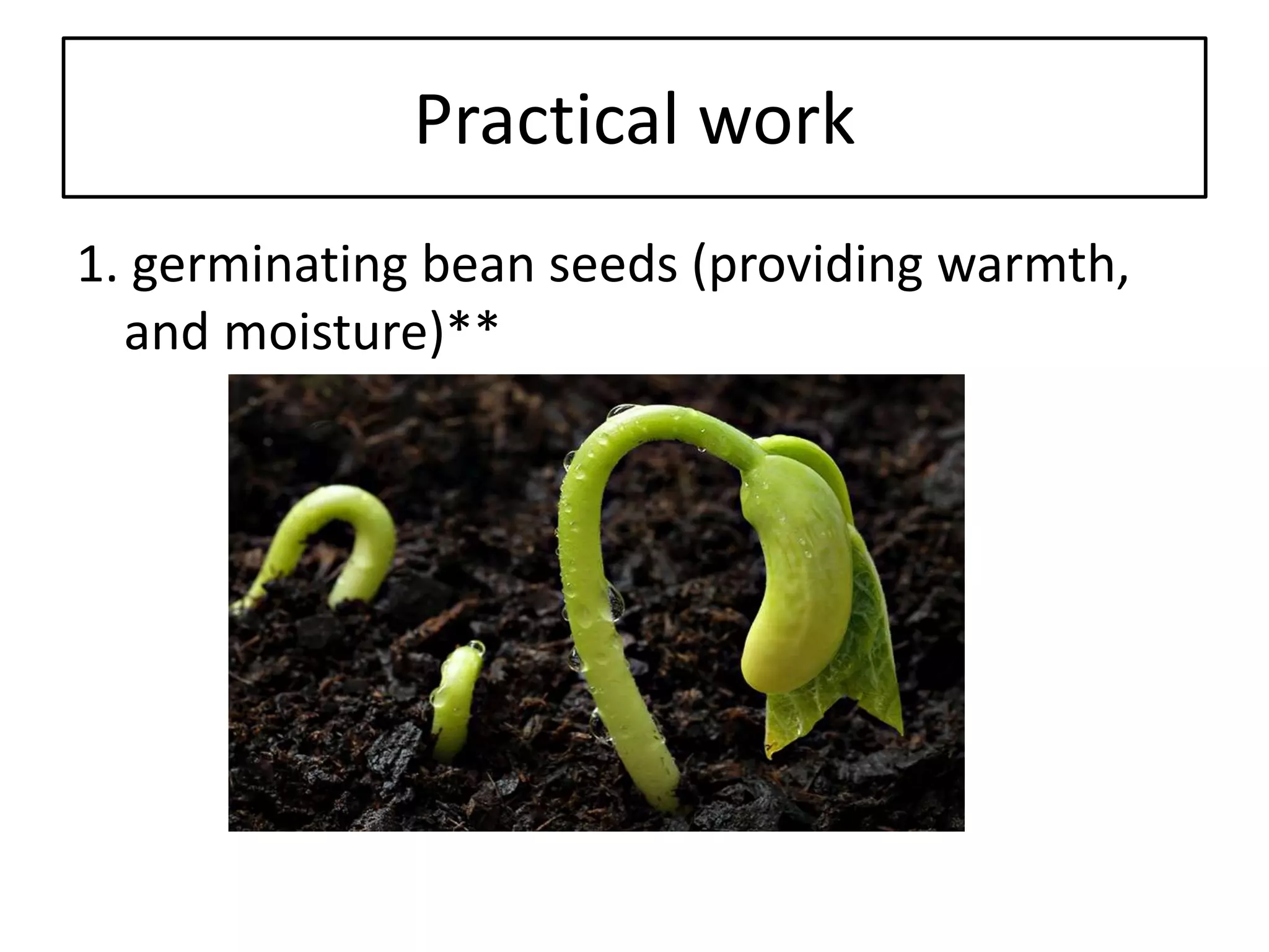Ns &technology grade 4 | PPTX