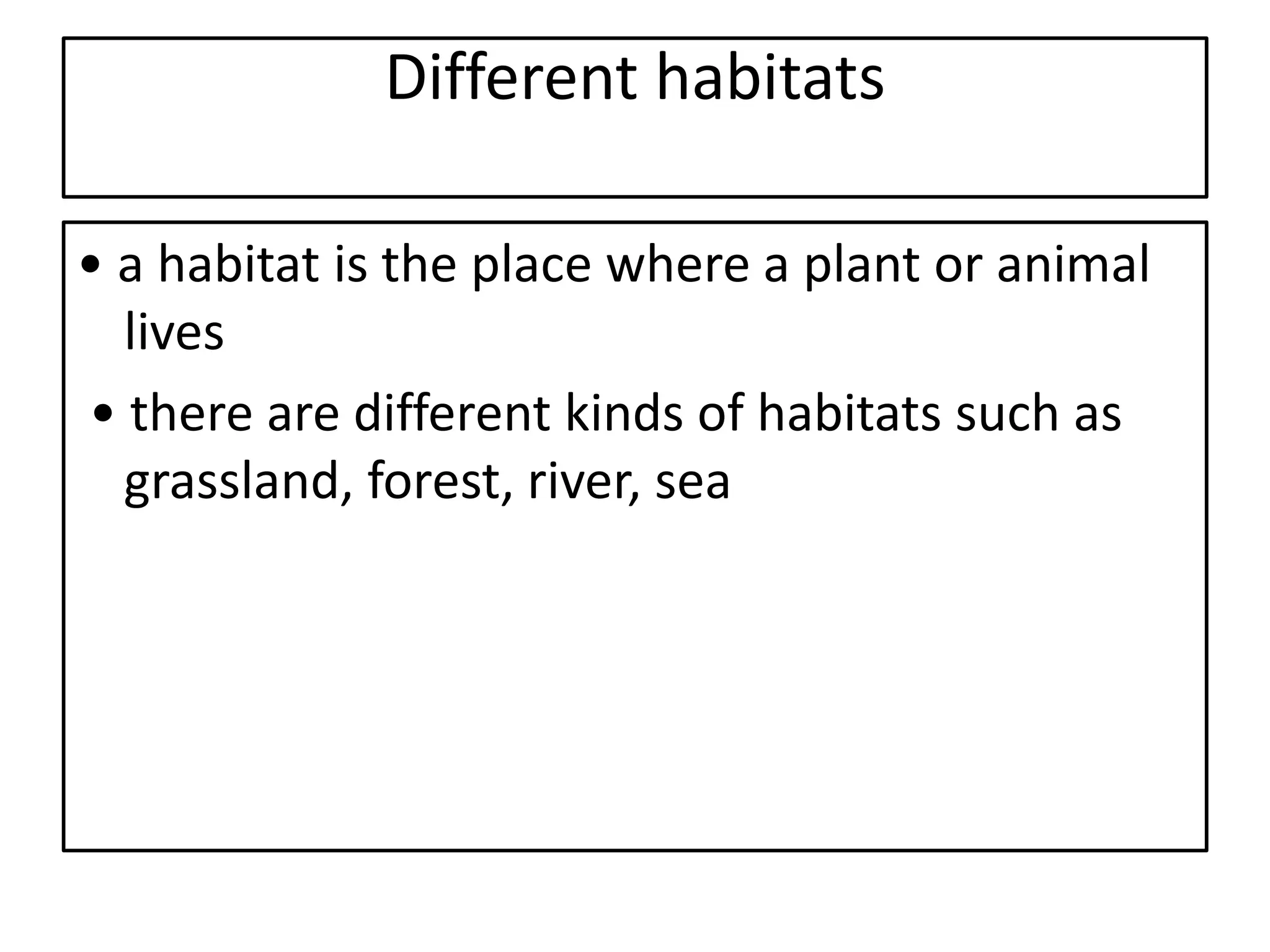 Ns &technology grade 4 | PPTX