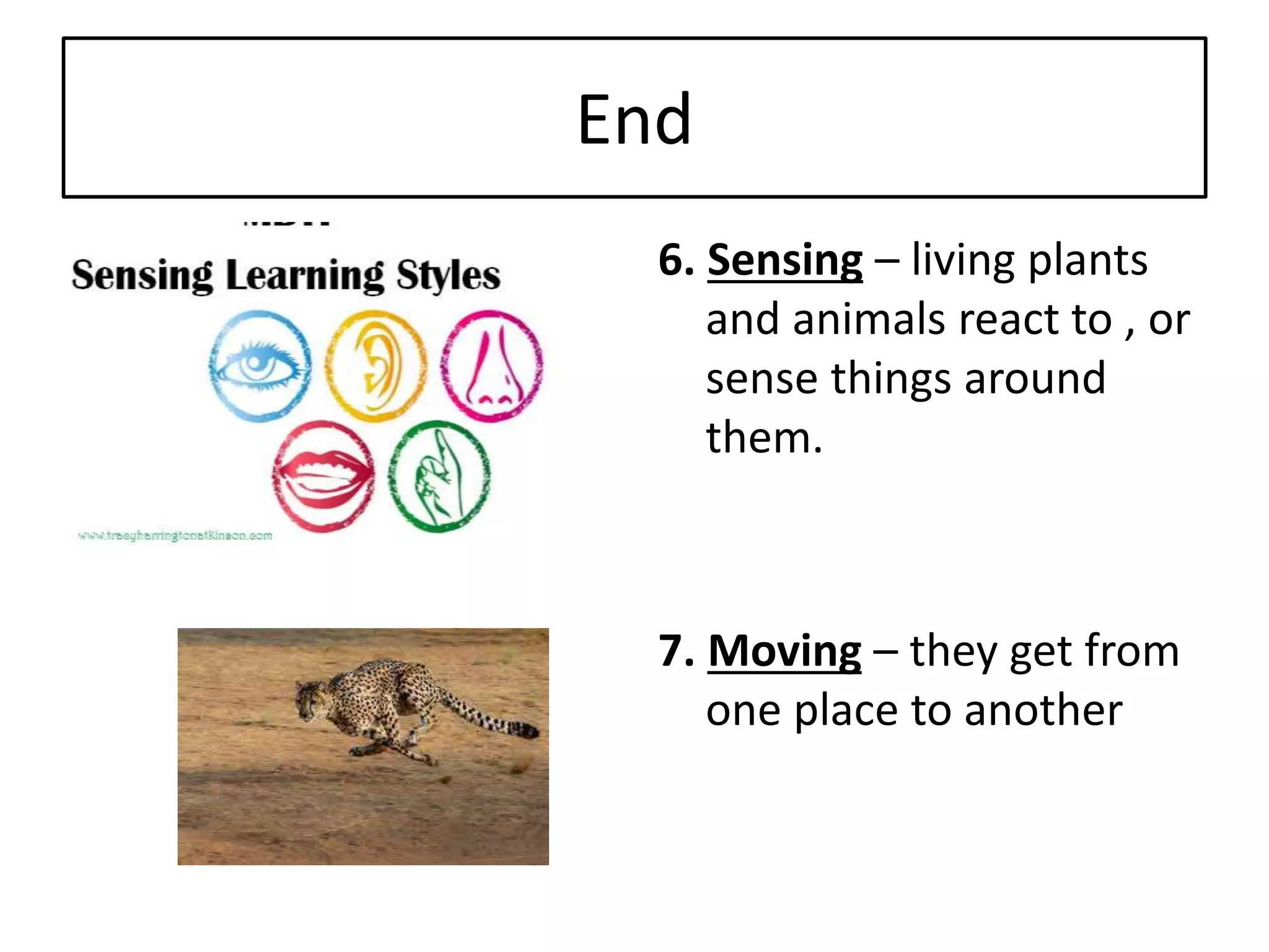Ns &technology grade 4 | PPTX