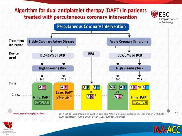 New Update NSTEMI Guideline 2018, PERKI | PPT
