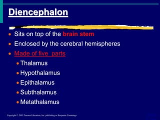 (NS) The Anatomy of the Nervous System.ppt