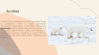 NON GOVERNMENT ORGANIZATION - WORLD WILDLIFE FUND | PPT