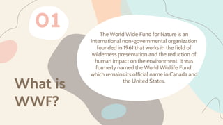 NON GOVERNMENT ORGANIZATION - WORLD WILDLIFE FUND | PPTX