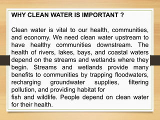 NSTP 1 Enviromental Protection and 7 Principles | PPTX