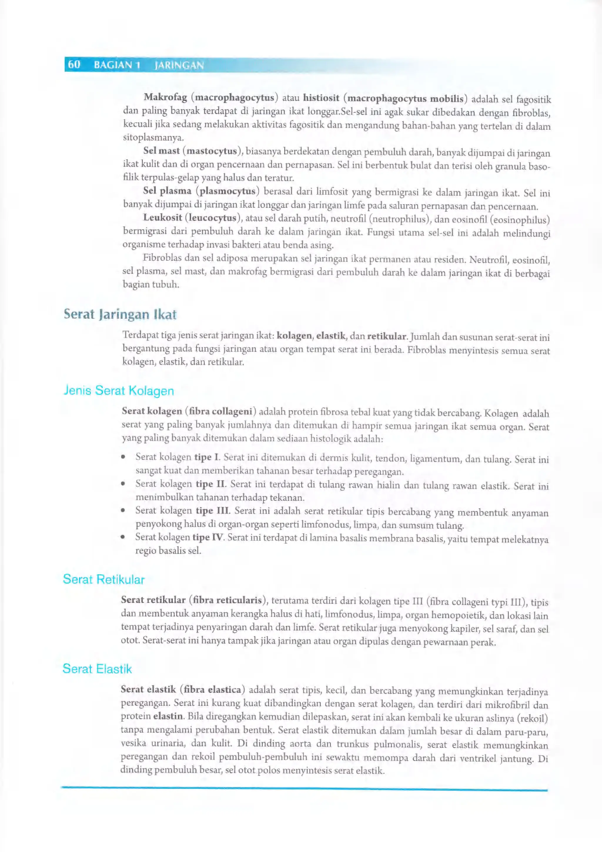 Bab_3_Jaringan_Ikat-Jaringan_Ikat-Jaringan_Ikat.pdf