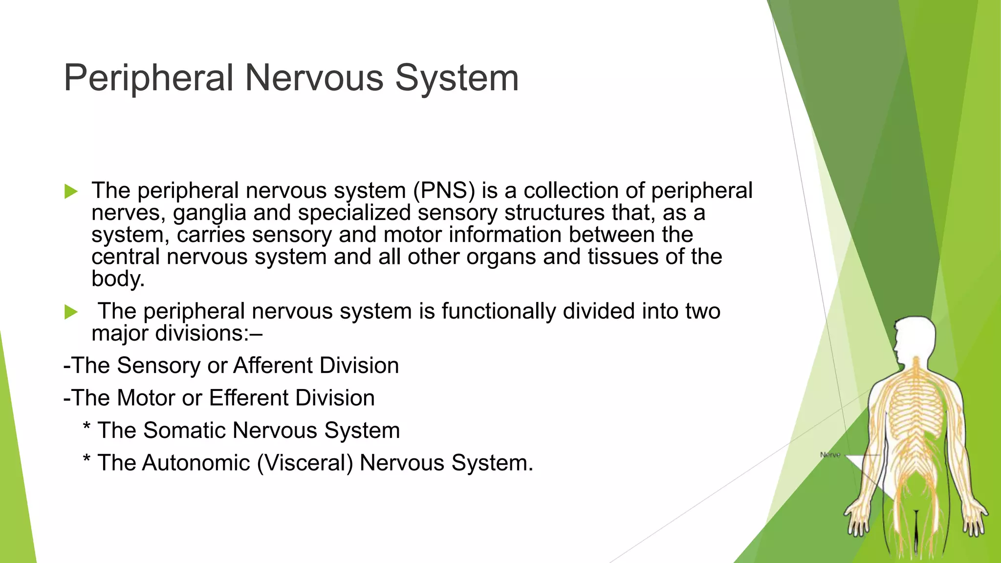 Disturbances of the nervous system in pathology of the endocrine system ...