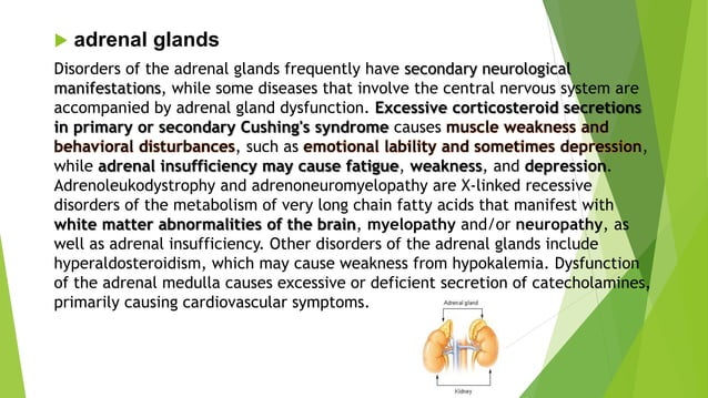 Disturbances of the nervous system in pathology of the endocrine system ...