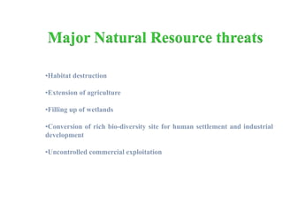 NT-Natural-Resources-PPT.pptx