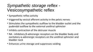 Neural Control of Micturition | PPT