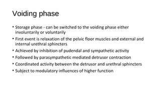 Neural Control of Micturition | PPT