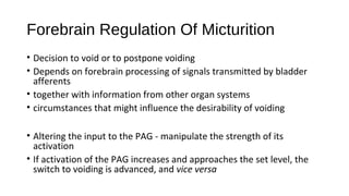 Neural Control of Micturition | PPT