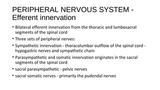 Neural Control of Micturition | PPT