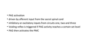 Neural Control of Micturition | PPT