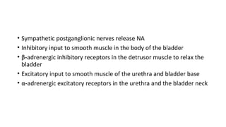 Neural Control of Micturition | PPT