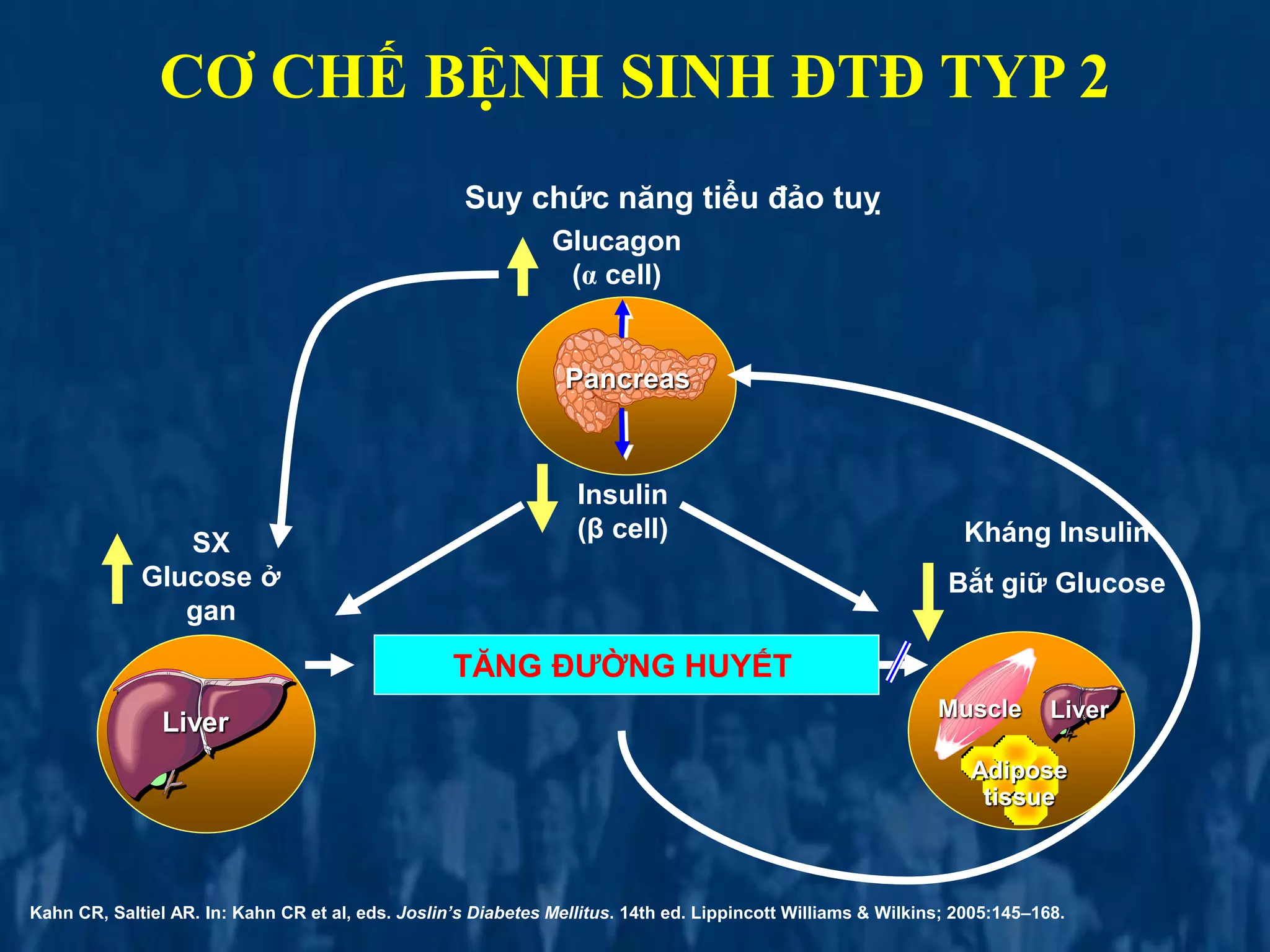 BỆNH ĐÁI THÁO ĐƯỜNG | PDF