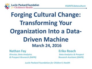 Forging Cultural Change: Transforming Your Organization Into a Data ...
