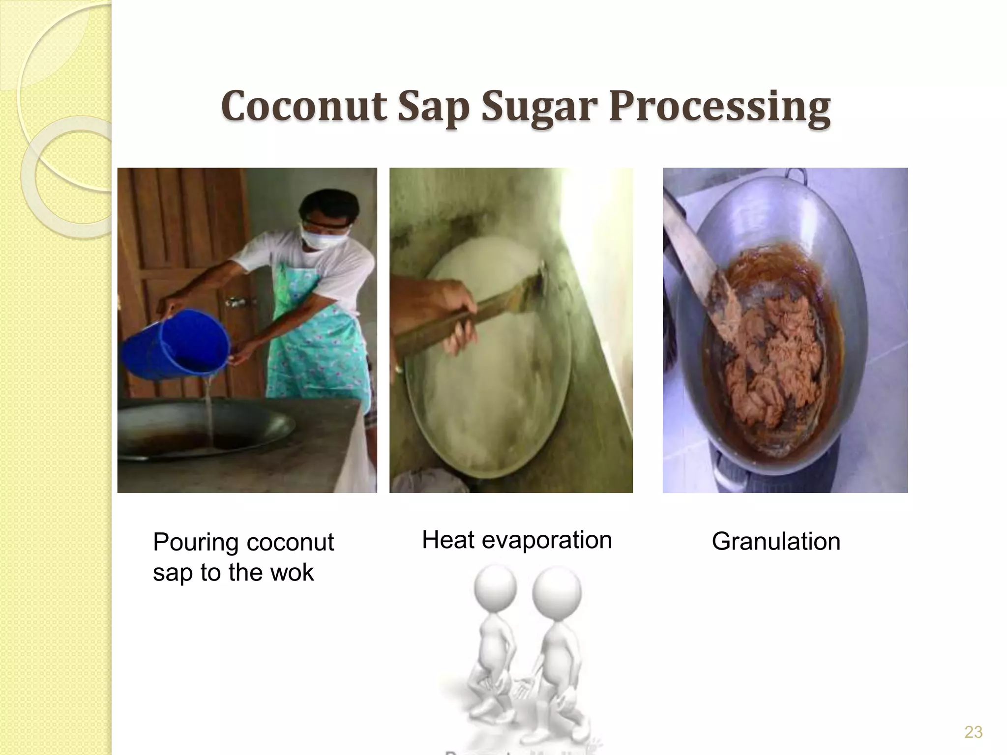 Coco Sap Sugar Presentation 2 | PPTX