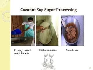 Coco Sap Sugar Presentation 2 | PPTX | Agriculture | Industries