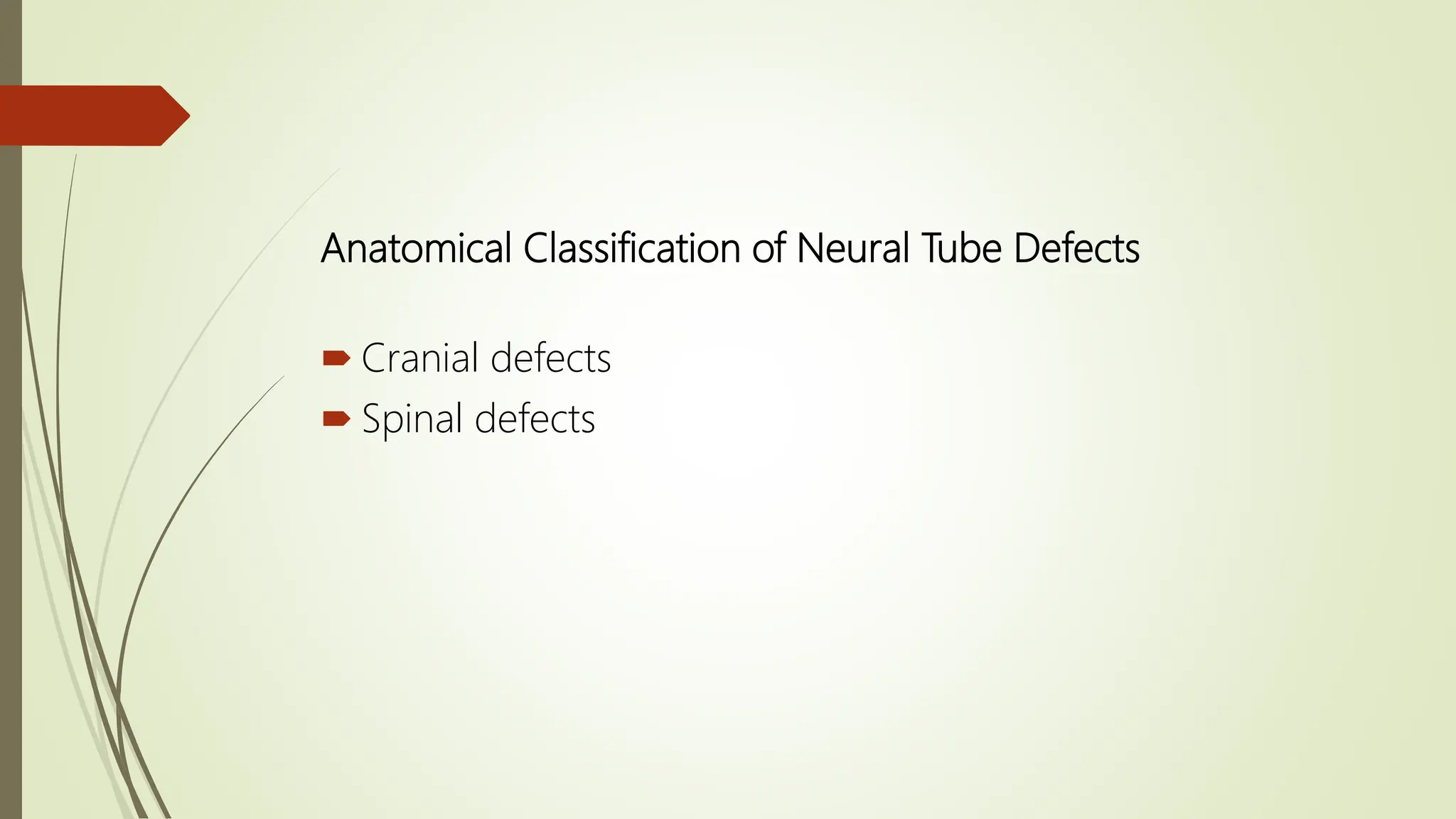 Neural tube defects - in neonates and children | PDF