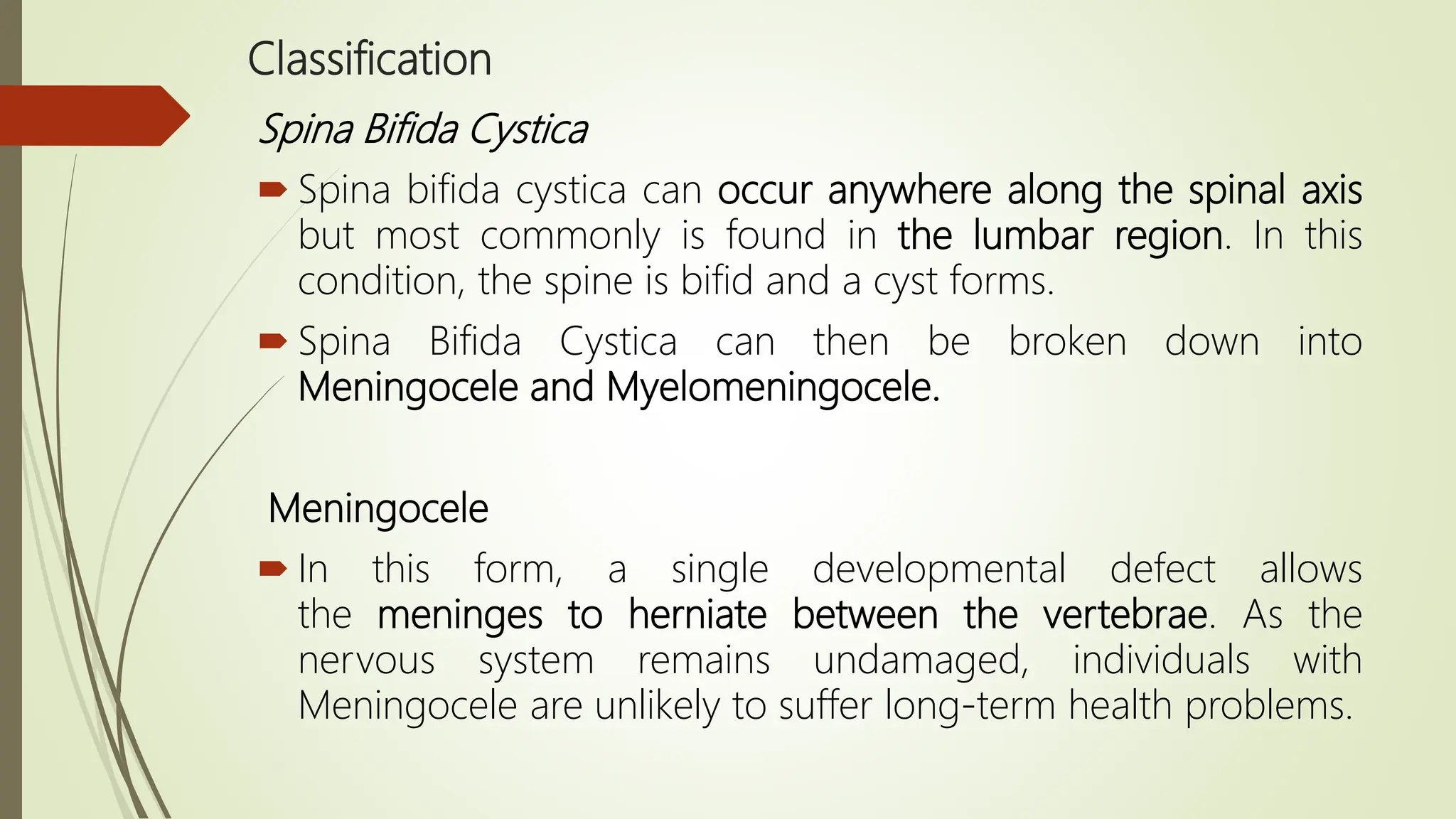 Neural tube defects - in neonates and children | PPT