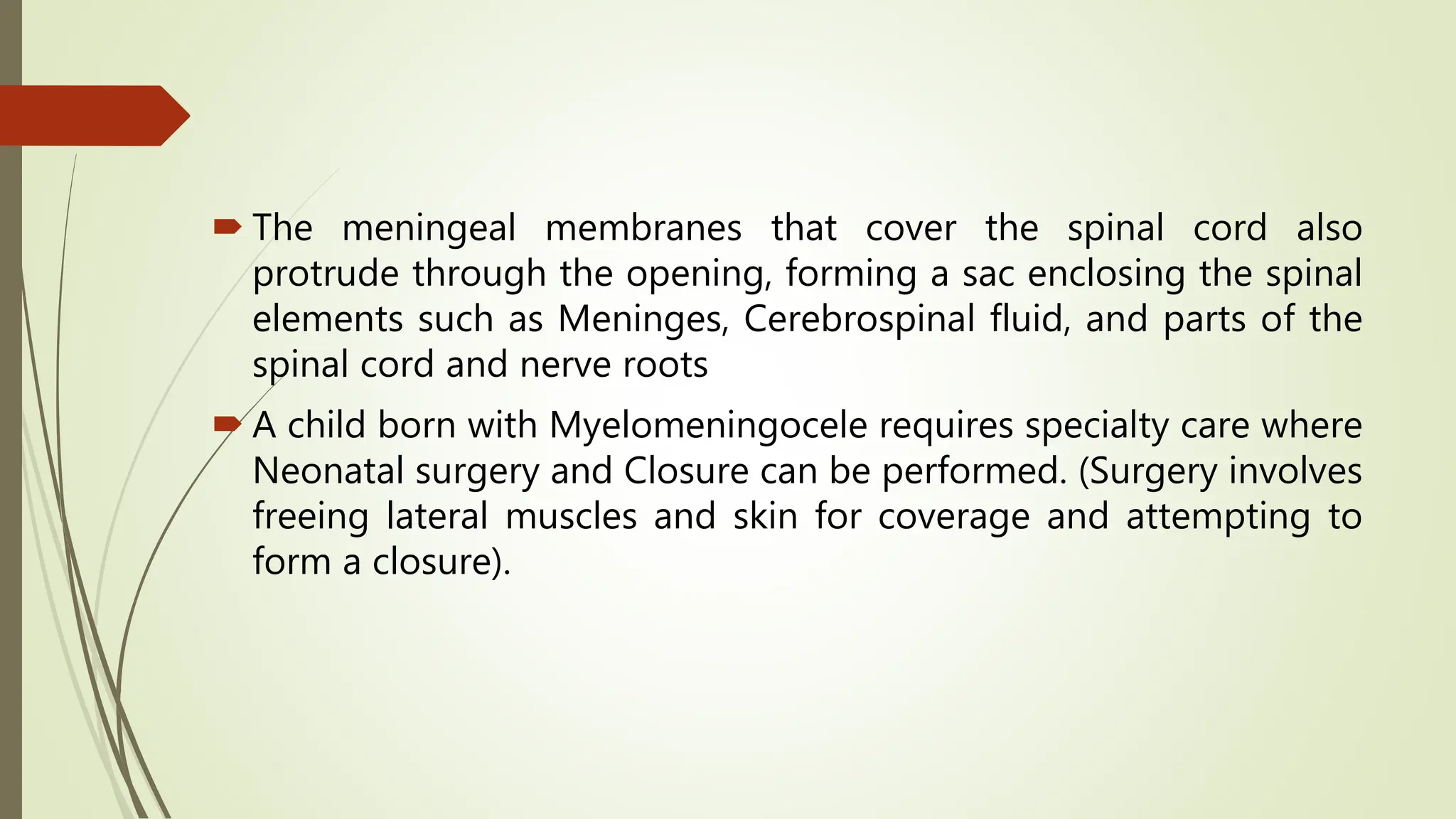 Neural tube defects - in neonates and children | PDF