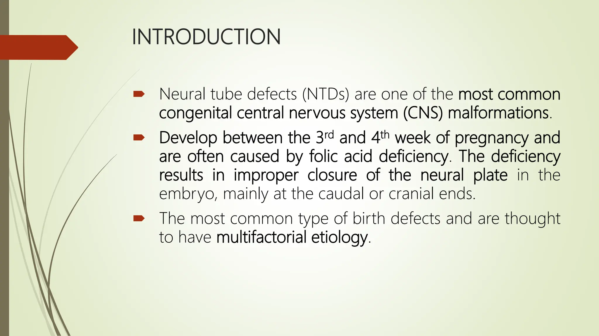 Neural tube defects - in neonates and children | PDF