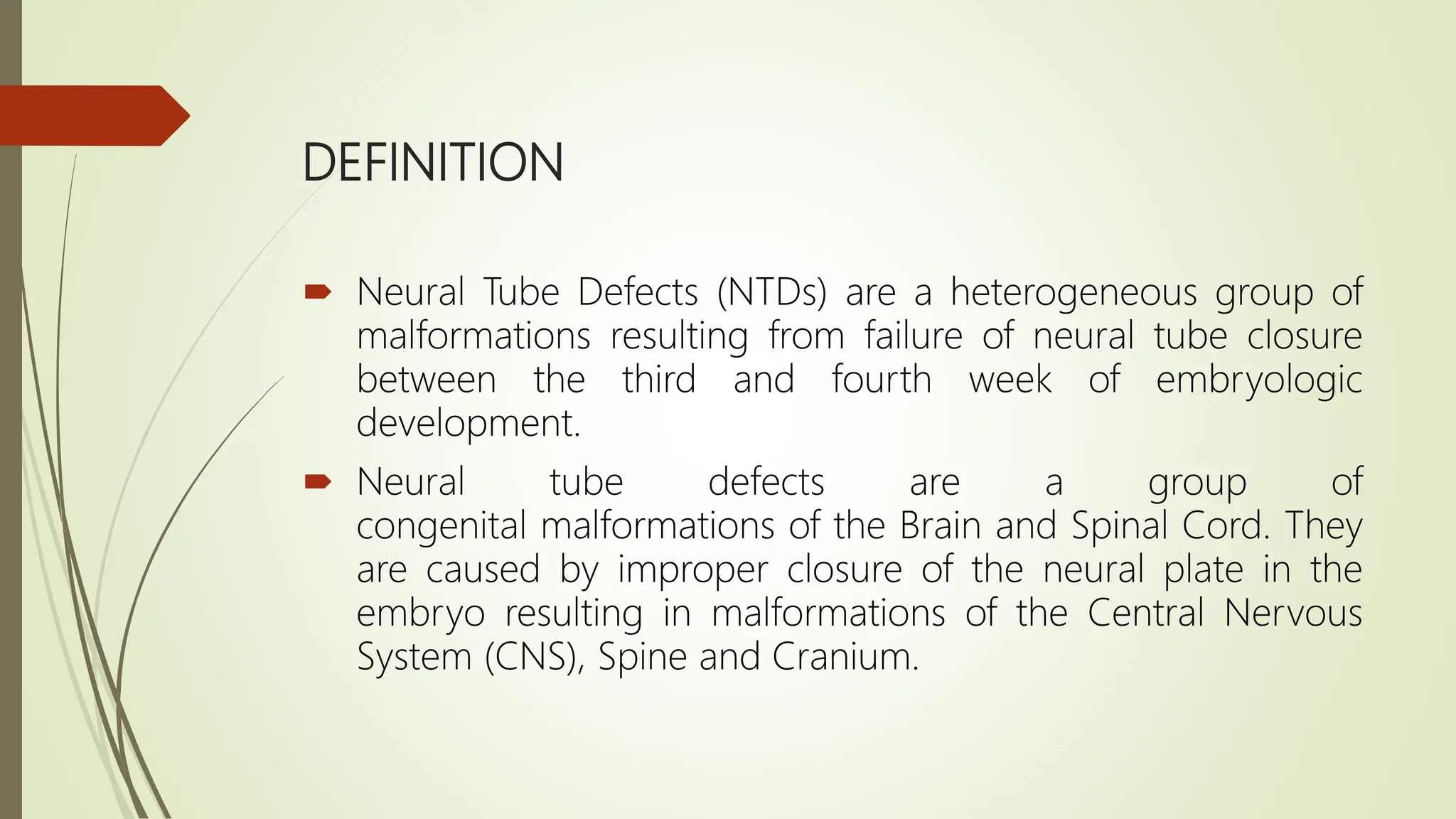 Neural tube defects - in neonates and children | PDF