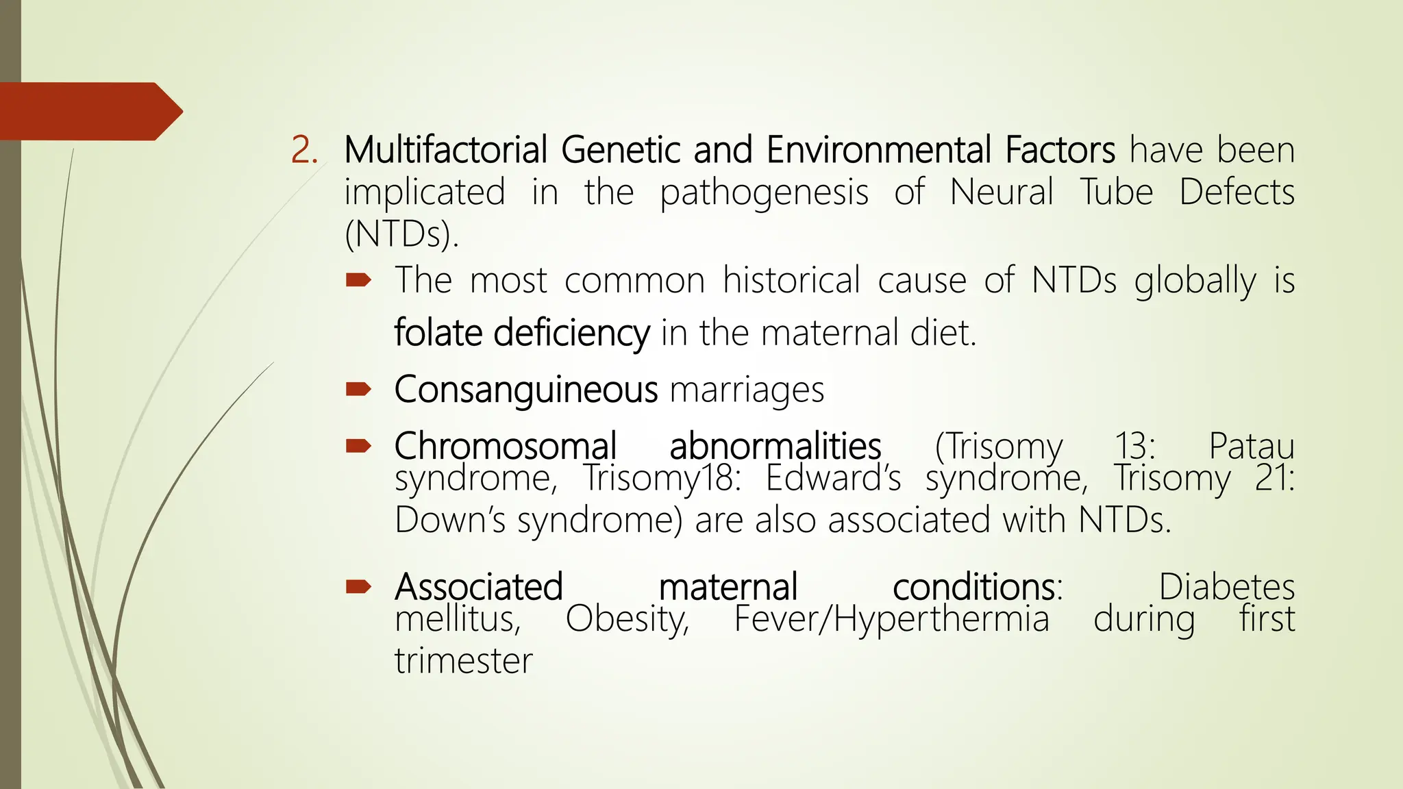 Neural tube defects - in neonates and children | PDF
