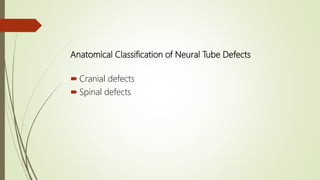 Neural Tube Defects | PPT