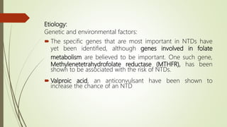 Neural Tube Defects Ntd Medchrome