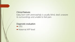 Neural Tube Defects | PPT