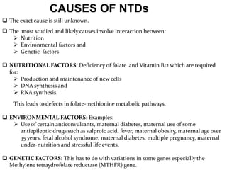 NEURAL TUBE DEFECTS (NTDs) IN INFANTS | PPTX | Pregnancy | Reproductive ...